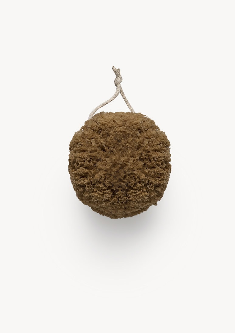 Grass Natural Sea Sponge - Sea You Soon CASA